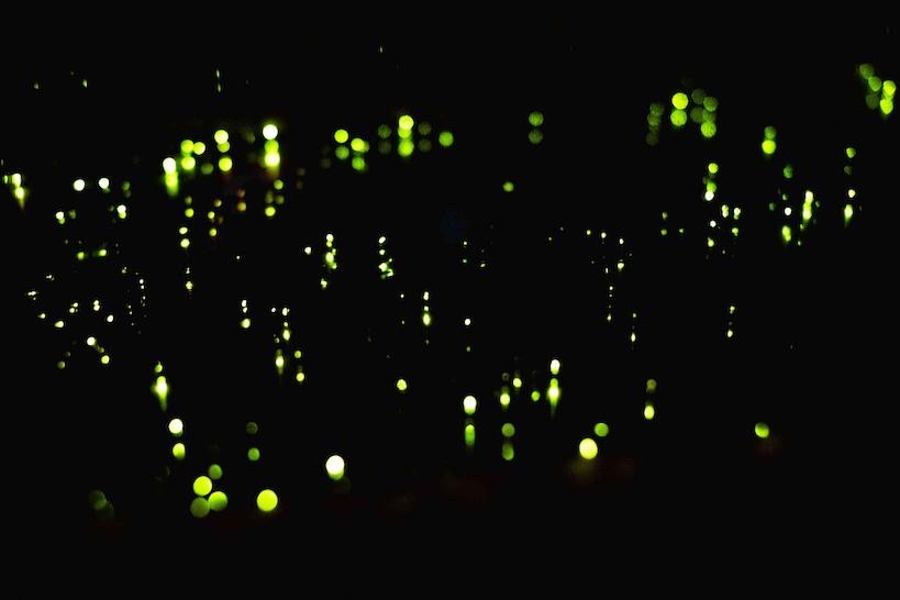 Lightbugs – PC3 Magazine